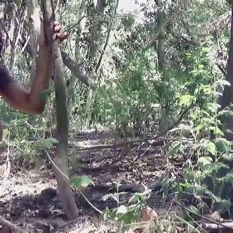 Public Sex In The Forest And Interracial With Bbc Porn 4c Xhamster