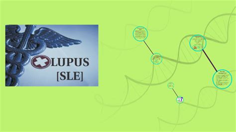 Lupus A Concept Map By Taaha Rahman On Prezi