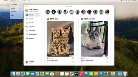 B Safari WebKit Features In Safari 17 4