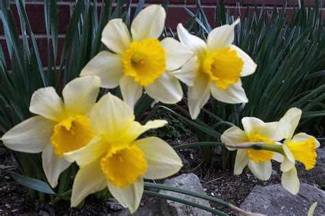 딸의 새로운 출발