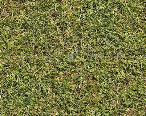 Grass Texture Seamless
