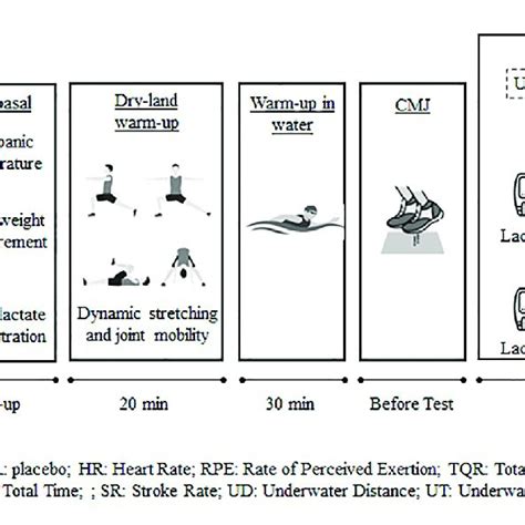 Diagram Of The Intervention Process Download Scientific Diagram
