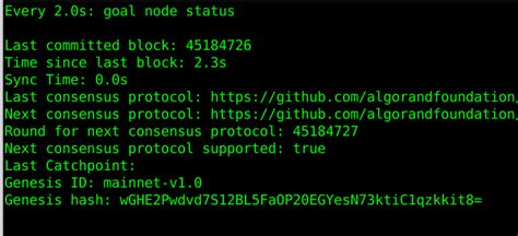 Algorand Cloud Node Installation Nodely