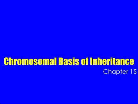 Ppt Chromosomal Basis Of Inheritance Powerpoint Presentation Free