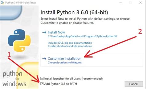 Python Windows Bits Installation Webservices