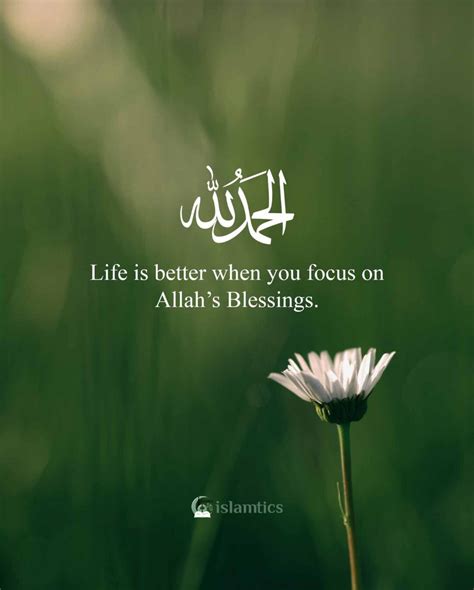 Life Is Better When You Focus On Allahs Blessings Islamtics