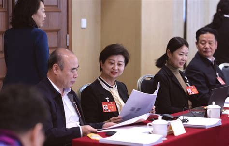 Cppcc National Committee Members Hold Group Meetings