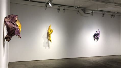 James Biederman Meer