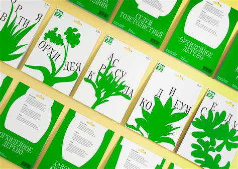 Leafy Seeds Packaging Design Concept World Brand Design Society