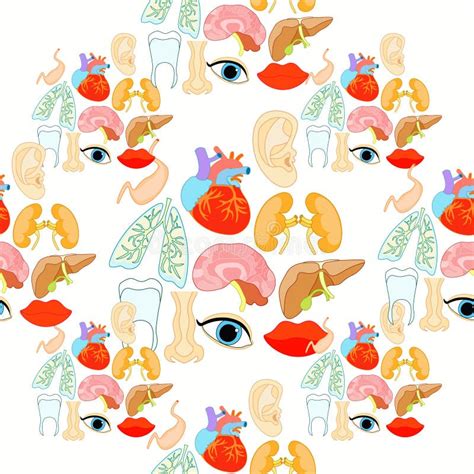 Seamless Pattern With A Human Heart Organ Lungs Liver Brain Stock