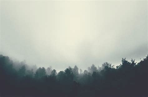 Images Gratuites Arbre La Nature Nuage Ciel Brouillard Lumière
