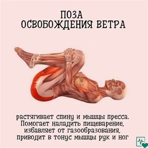 Ошибка | Exercícios de yoga, Exercícios hipopressivos, Exercícios de ioga