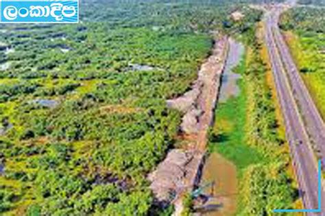 මුතුරාජවෙල අයිනෙන් විදුලි රැහැන් අදින්න කැබිනට් අනුමැතිය Lankadeepa Online