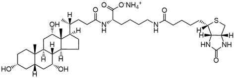 Lysine Ionized Structure
