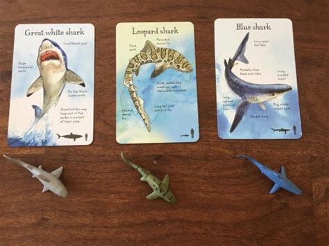 Dwarf Lantern Shark Octonauts