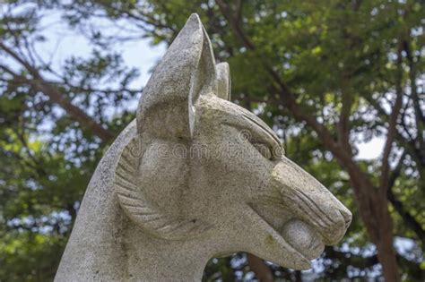 Stone Fox Kitsune Messenger Of The God Inari Hasebe Shrine