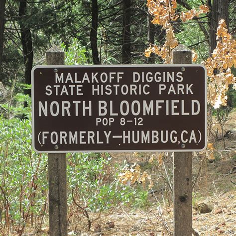 Discover Malakoff Upper Humbug Trails With Chris Ward Nevada City