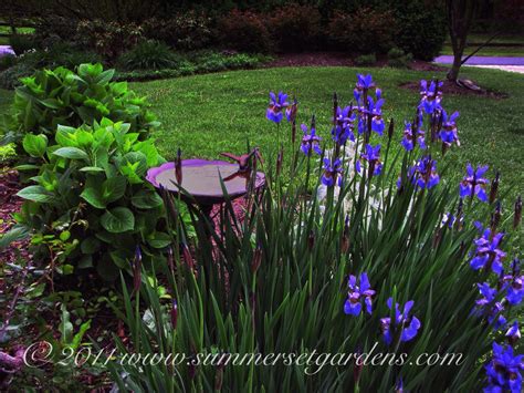 Traditional Landscape Traditional Landscape New York Houzz