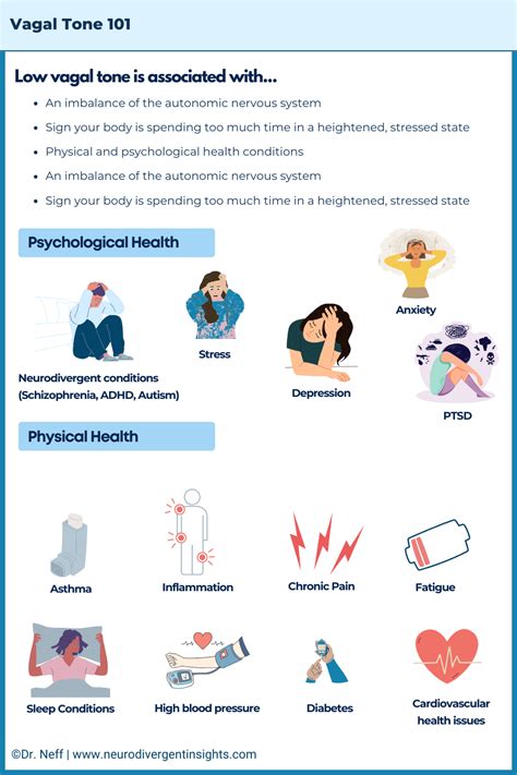 Dorsal Vagal Shutdown How To Identify Shutdown