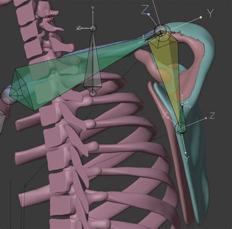 Max Value Action Constraint Not Matching End Of Action Animation And