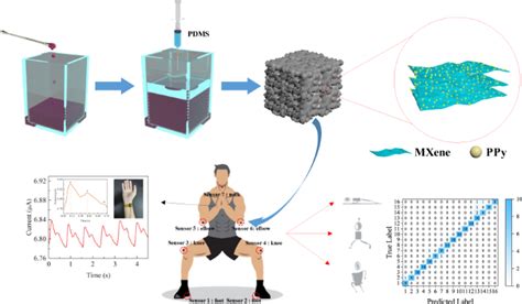 Mxene Ppy Pdms 基于海绵的柔性压力传感器，借助深度学习中的卷积神经网络进行人体姿势识别 Microsystems And Nanoengineering X Mol