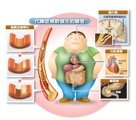 健康刊物 全民健康基金會