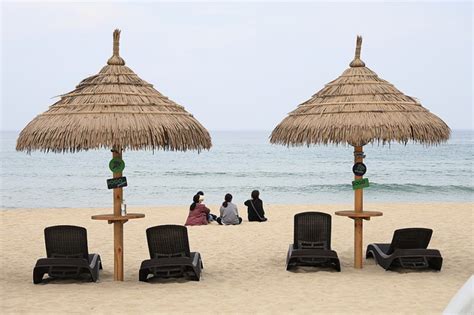 양양 여행 코스 가볼만한곳 볼거리 관광지 양양 서피비치 네이버 블로그