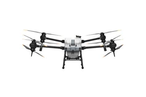T Dji