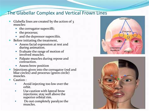 Botulinum Toxin In Dermatology Ppt Ppt