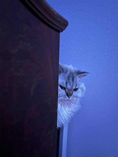 Im Tired Album On Imgur