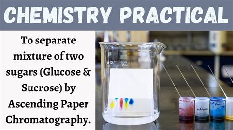 Paper Chromatography Of Sugars At Arthur Poulsen Blog