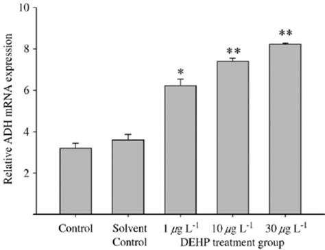 Analysis Of Adh Enzyme Activity And Gene Expression During Development