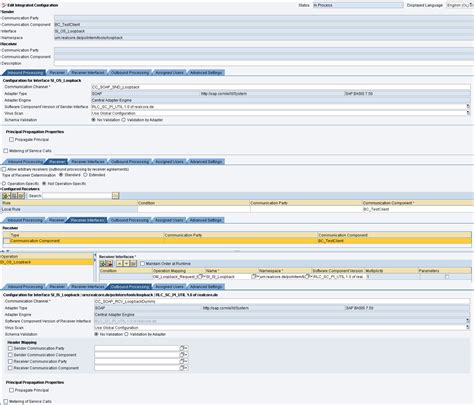 How To Create A Sap Po Loopback Interface Without Sap Community