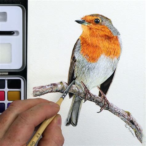 Robin Watercolour Painting Lesson Learn To Paint Realistically The