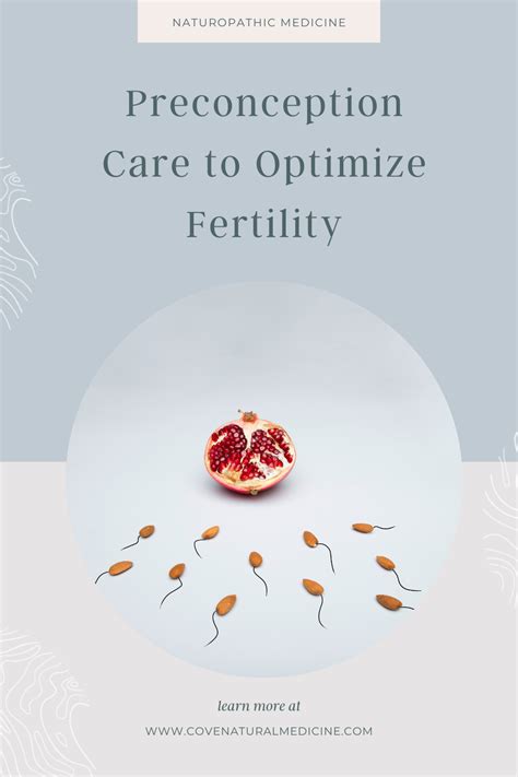 Embracing The Preconception Period And Optimizing Fertility — Cove