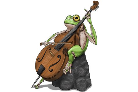 Bass Clef In Mammoth Music