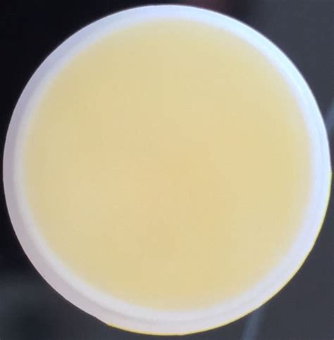 Organic And Natural Flavored Lip Balm Kissing Stick Tinte Cosmetics