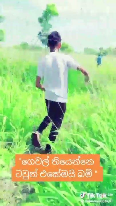 ලඳු කැලෑ දිය කඩිති පසු කරමින් මිතුරාගේ නිවස බලා Youtube