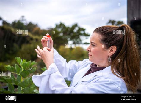 Australian Crop Research Hi Res Stock Photography And Images Alamy