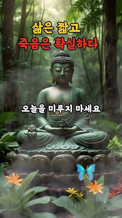 부처님말씀 삶은 짧고 죽음은 확실하다 삶과 죽음 석가모니가르침 불교명상 불교명언 오디오북 명언 자기수행 좋은글 Youtube