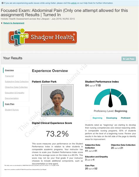 Esther Park Focused Exam Abdominal Pain And Care Plan Shadow Health