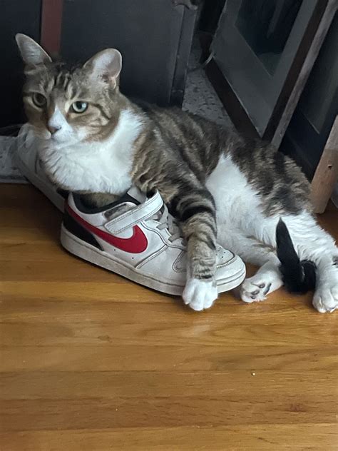 What A Cute Co Worker Blogs And Forums