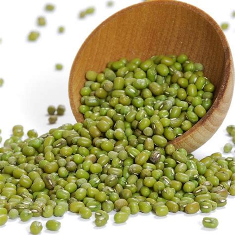 Prezzo €180 Semi Di Fagioli Indiani Vigna Radiata