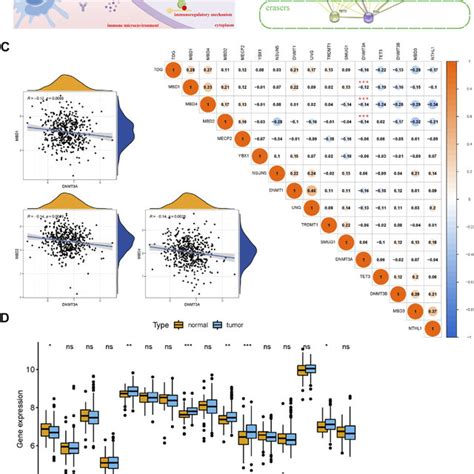 Landscape Of M 5 C Methylation Regulators For Healthy And Mm Samples Download Scientific