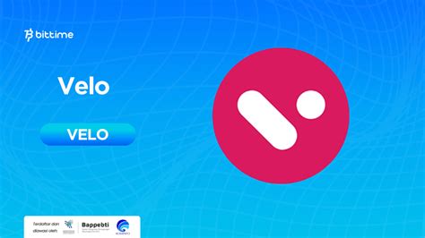 Apa Itu VeloVELO Bittime