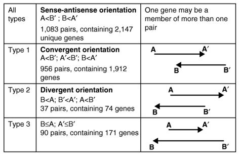 A Comparison Of The Arrangements Of Overlapping Gene Pairs In Download Scientific Diagram