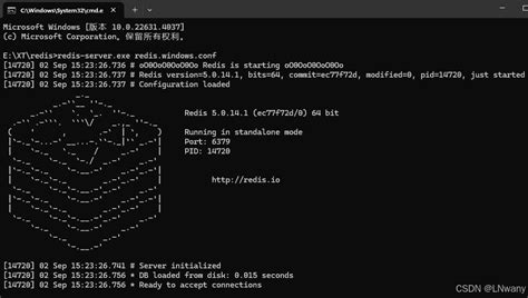 Nginx，redis，后端：配置成服务自启nginx做成服务 Csdn博客