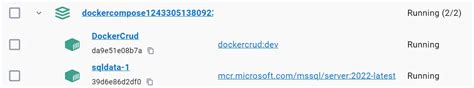 crud operations in asp core and sql server with docker