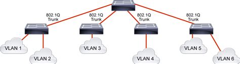 Trunk Vlan Trunking 802 1q Couche Réseau