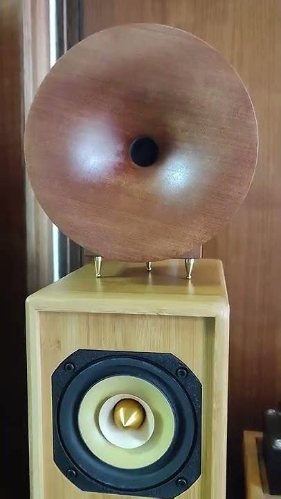 Gui Hui Zhui Jiu From Wood Horn Super Tweeter Plus 4 Inch Full Range